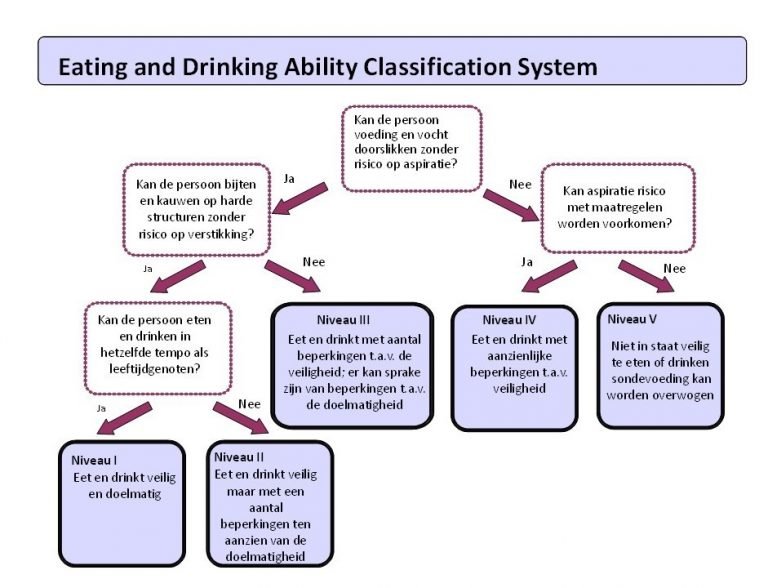 Eating and Drinking Ability Classification System | CP Nederland